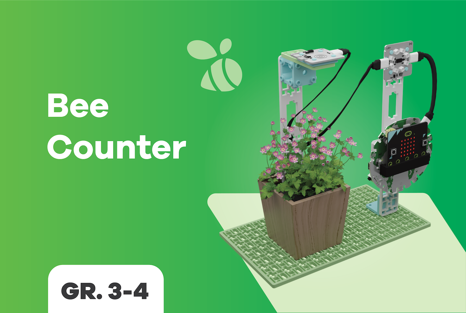 Protecting Pollinators with a Bee Counter - Forward Education