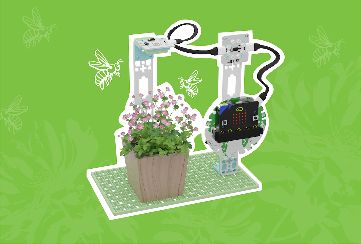 Beach Lighting for Sea Turtle Conservation - Forward Education